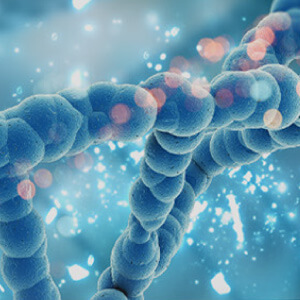Genomic Health Check Package | Comprehensive Genetic Reports on Cancer ...